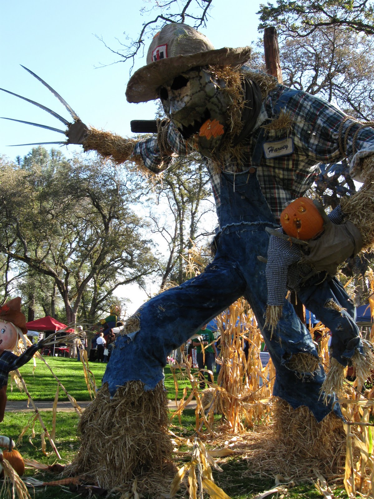 ShellHawk's Nest: Scary 'Crow!