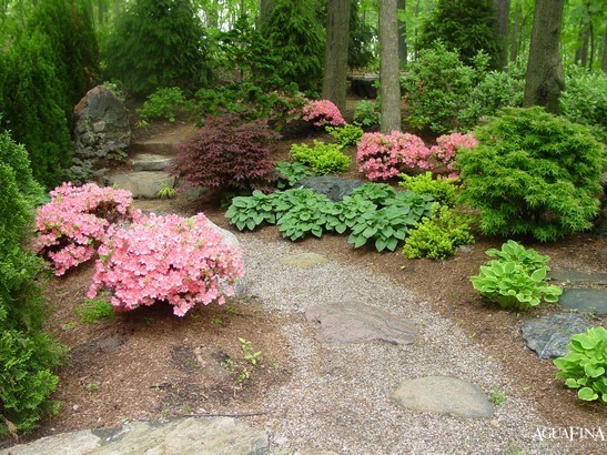 Brighton Beach: Contemporary Fress Garden Design : fress Water features ...