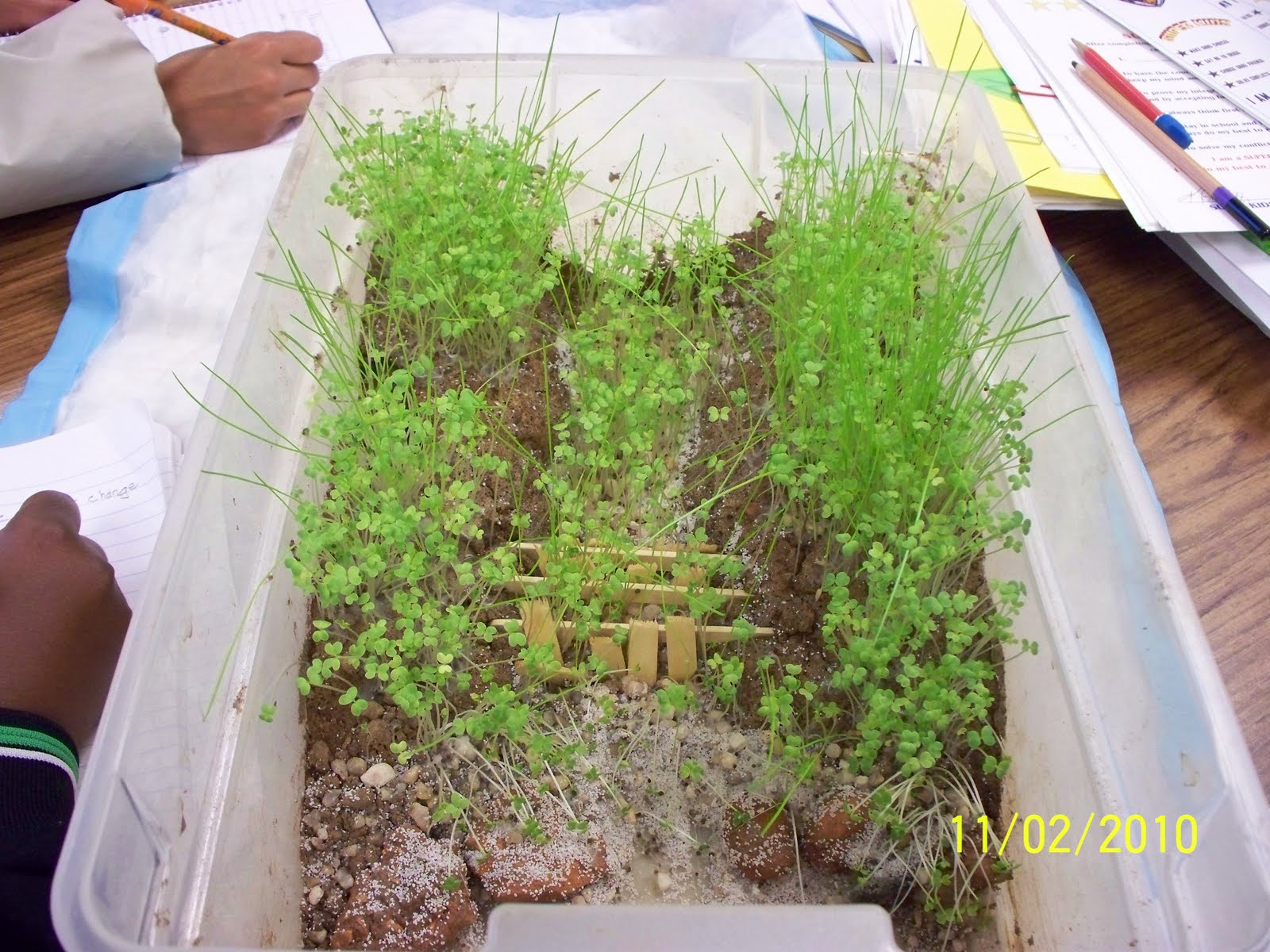 Ms. Ryan's Blog: Stream Table Models