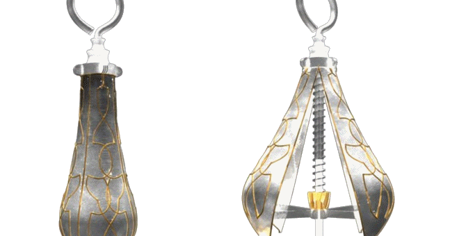 Torture: The Pear of Anguish