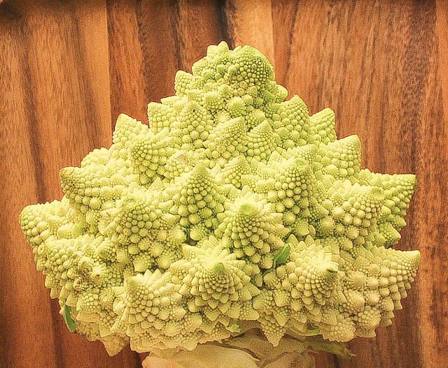 Potpourri: Christmas Broccoli - Romanesco