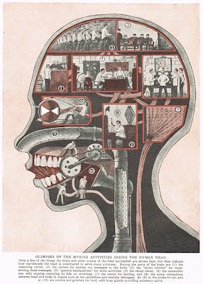 the mouth and the knife: Inside the human head