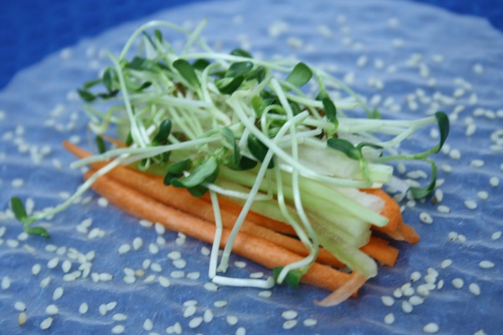 Sprouted Flavorful Spring Rolls