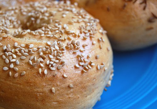 A beautiful bagel : r/bagel