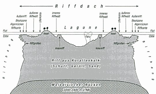 ATOLL MALEDIVEN, ENTSTEHUNG UND ANORDNUNG | KOMBIREISE MALEDIVEN