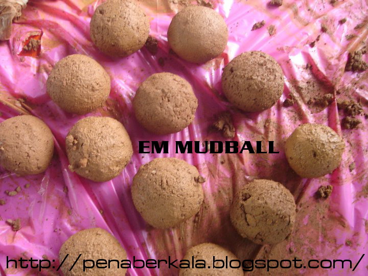 EM MUDBALL MAKING