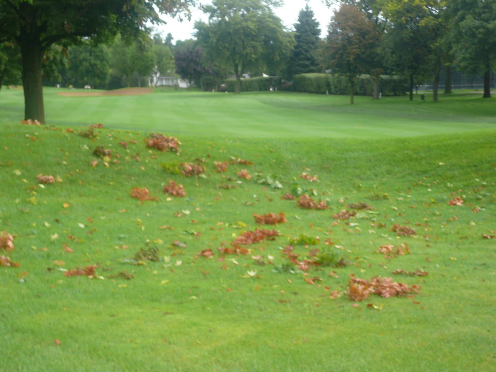 Northmoor Country Club Golf Course Operations: Storm Damage
