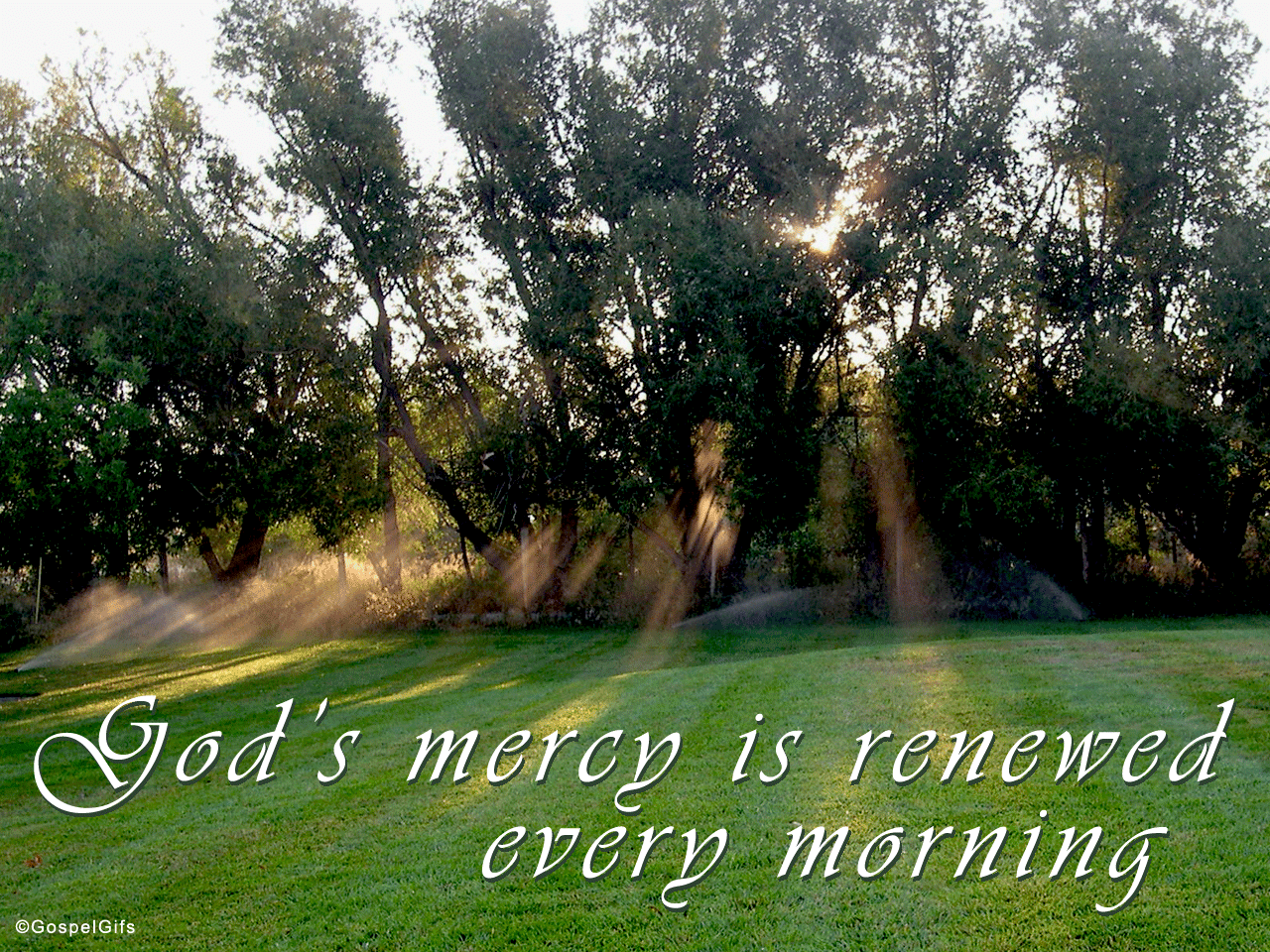 Living In Grace Blog: Mercy