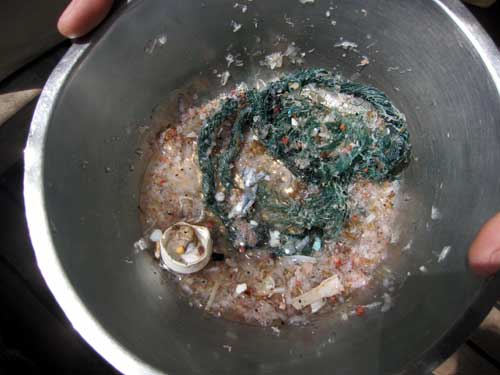 Pippa's Place - Environmentally Speaking: New Plastic Gyre Found in ...