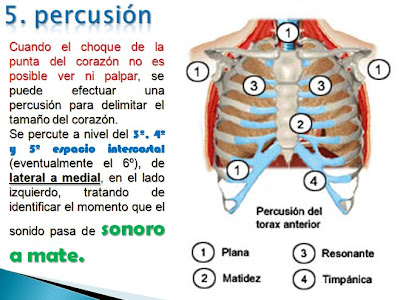 Examen cardiaco
