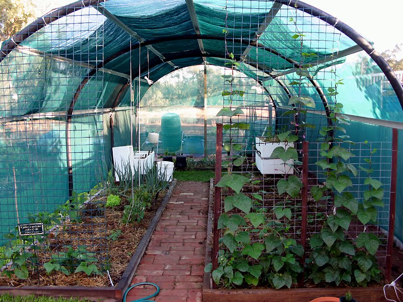 Wind-blown dust and dirt: Shade-houses are cool
