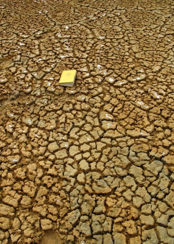Looking For Detachment: Seen in the Field: Mud Cracks with Snow and ...