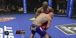 Mackens Semerzier vs. Cub Swanson - WEC 52 - Teh Gifs (Highlights ...