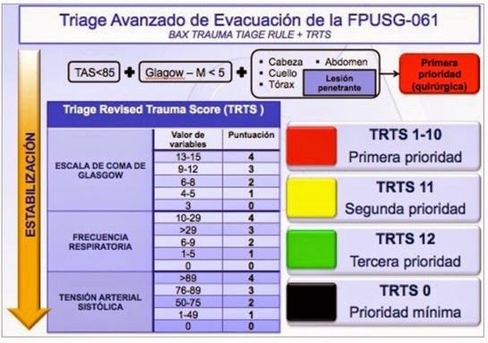 Soporte Vital: Actuación Sanitaria en AMV (Accidente Múltiples Víctimas)