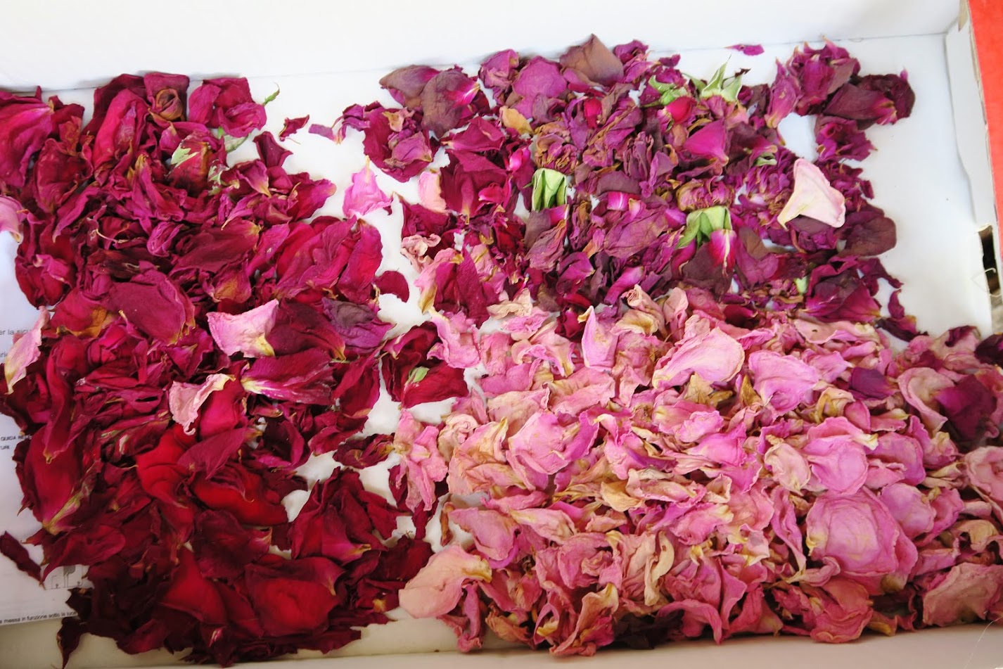 Mery13: Buchtičky...