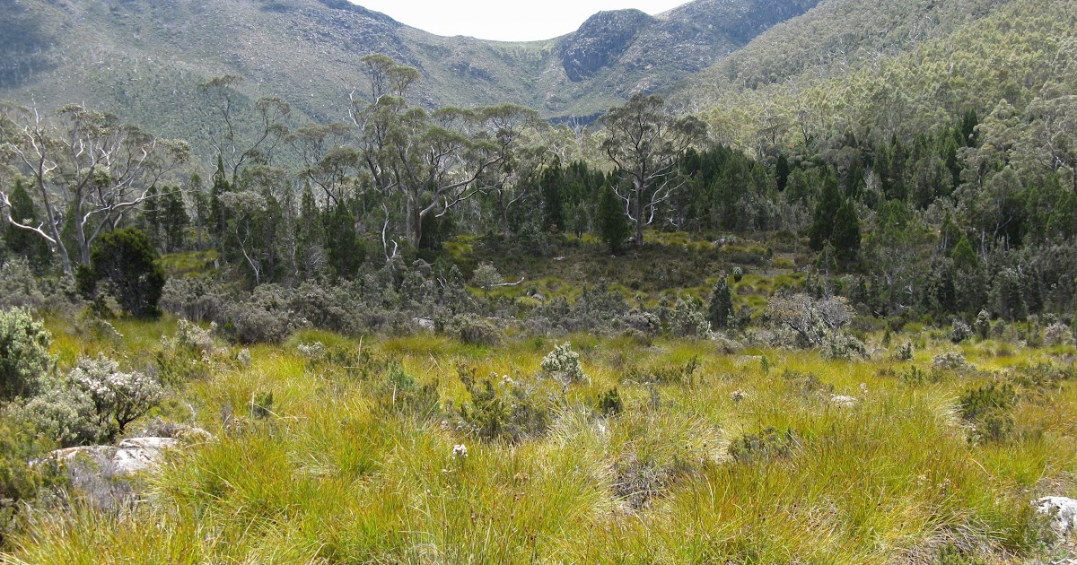 It isn’t always this hard - Lake Belcher Hut