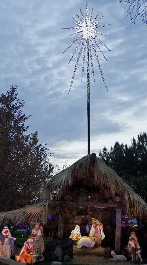 Reflections From the Fence: 2018